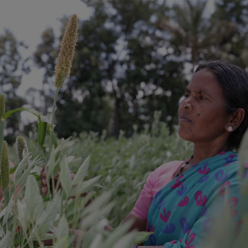 Rural Development Trust