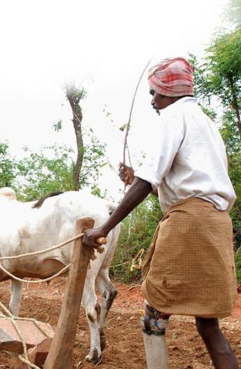 Rural Development Trust