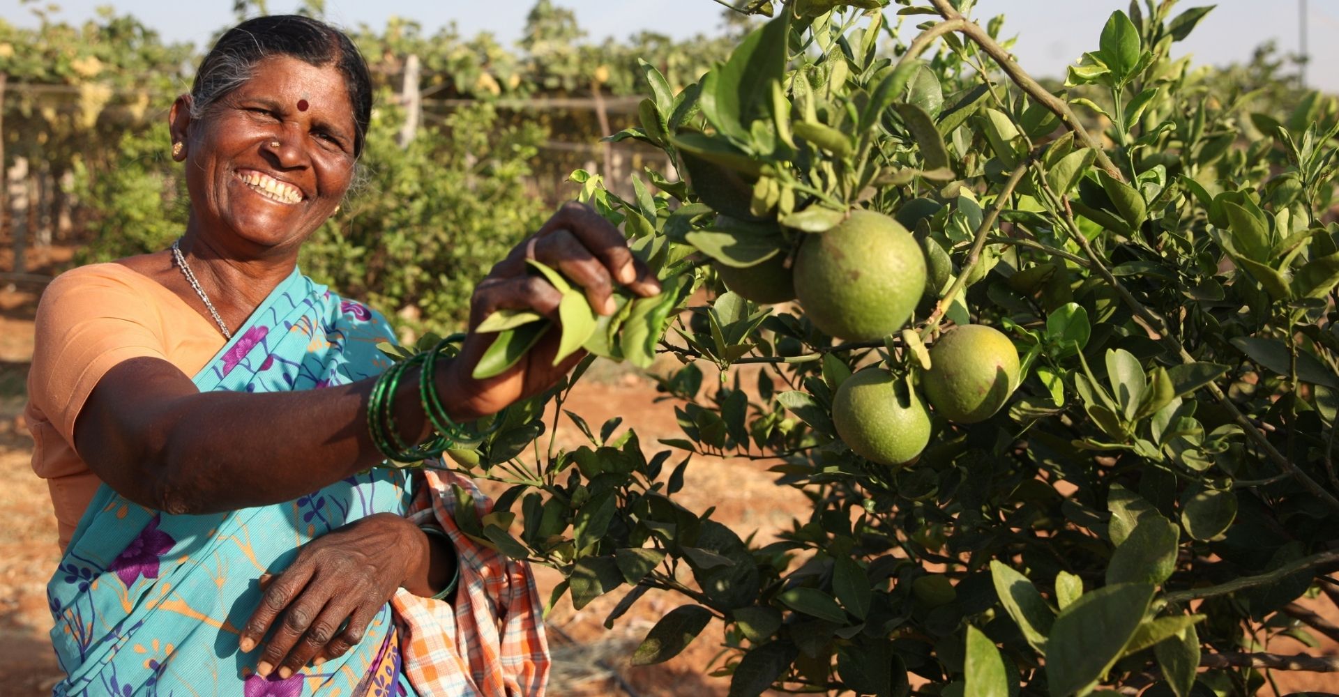 Rural Development Trust