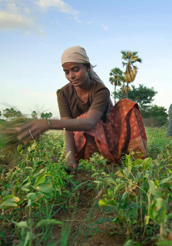 Donate – Rural Development Trust