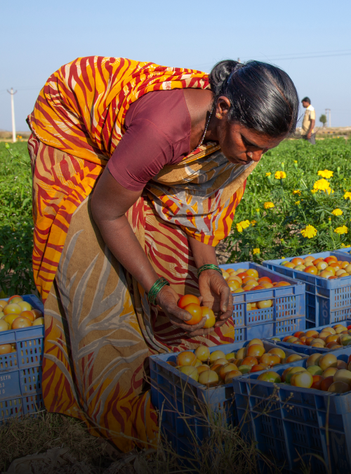 Women Development – Rural Development Trust