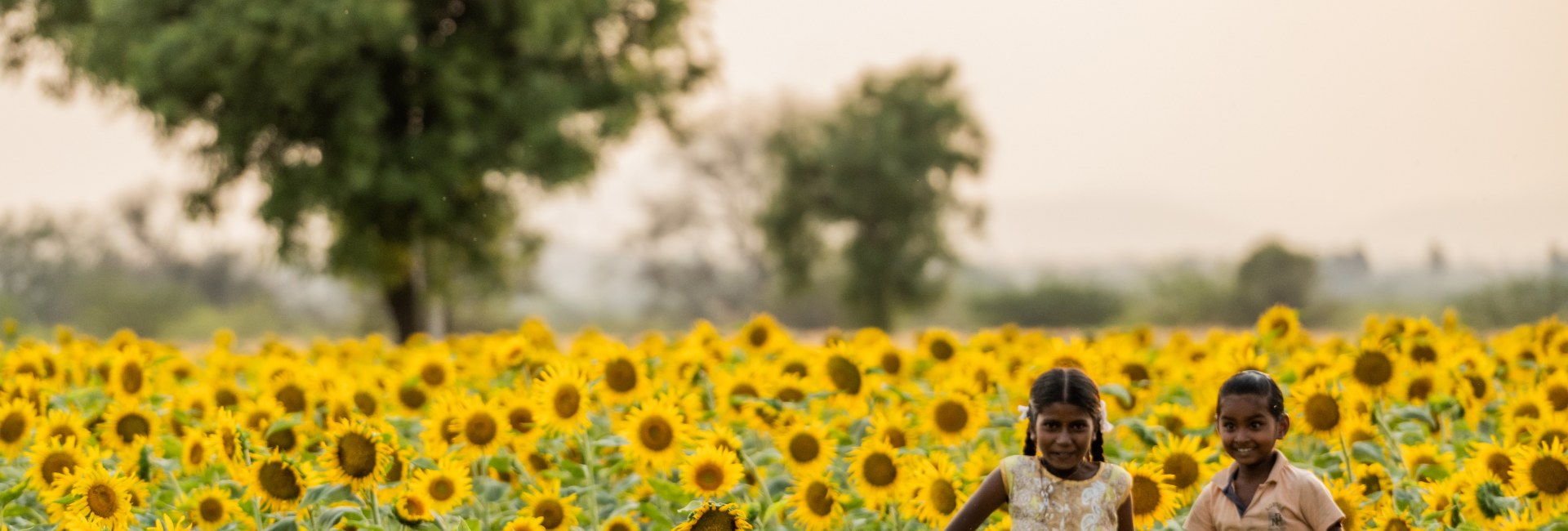 Visit Anantapur – Rural Development Trust