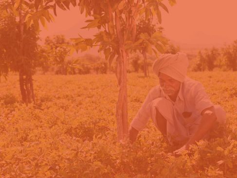 Rural Development Trust